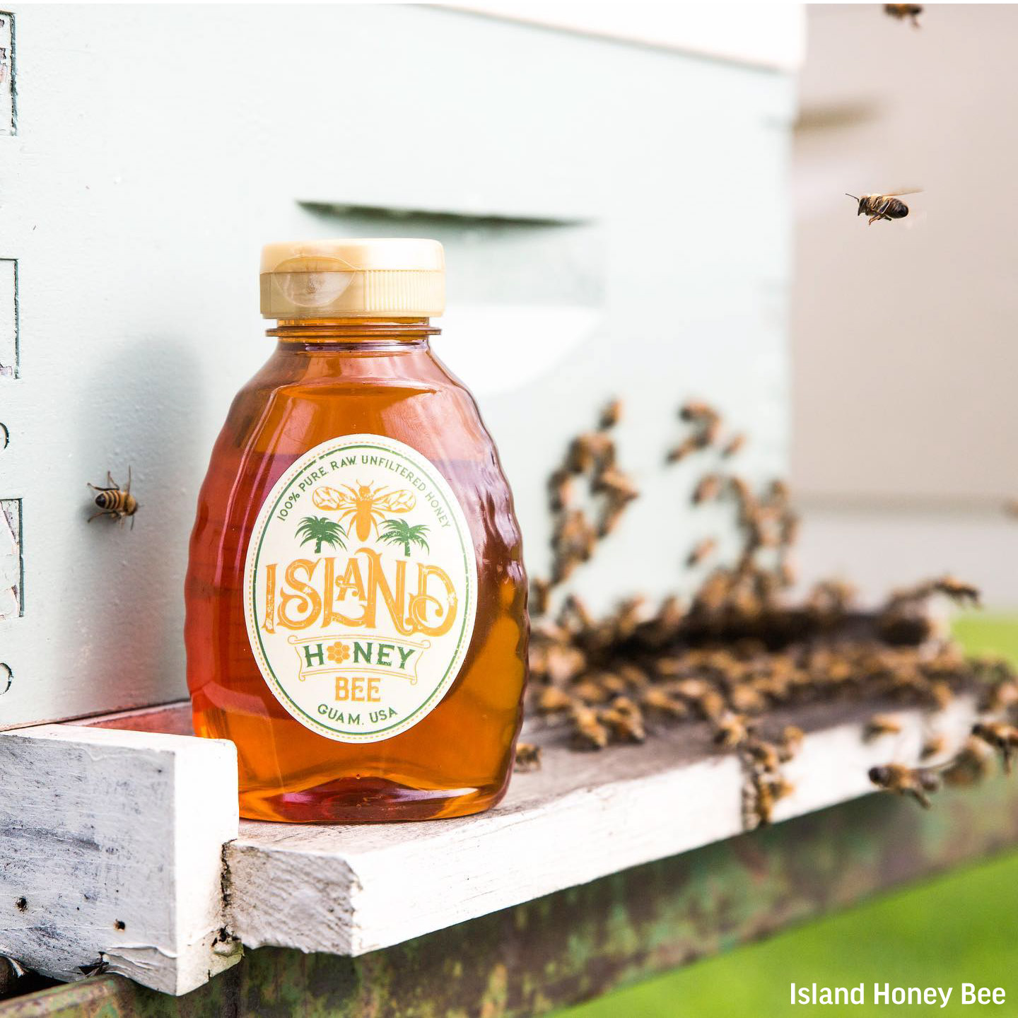 Island Honey Bee - Infusion Coffee & Tea